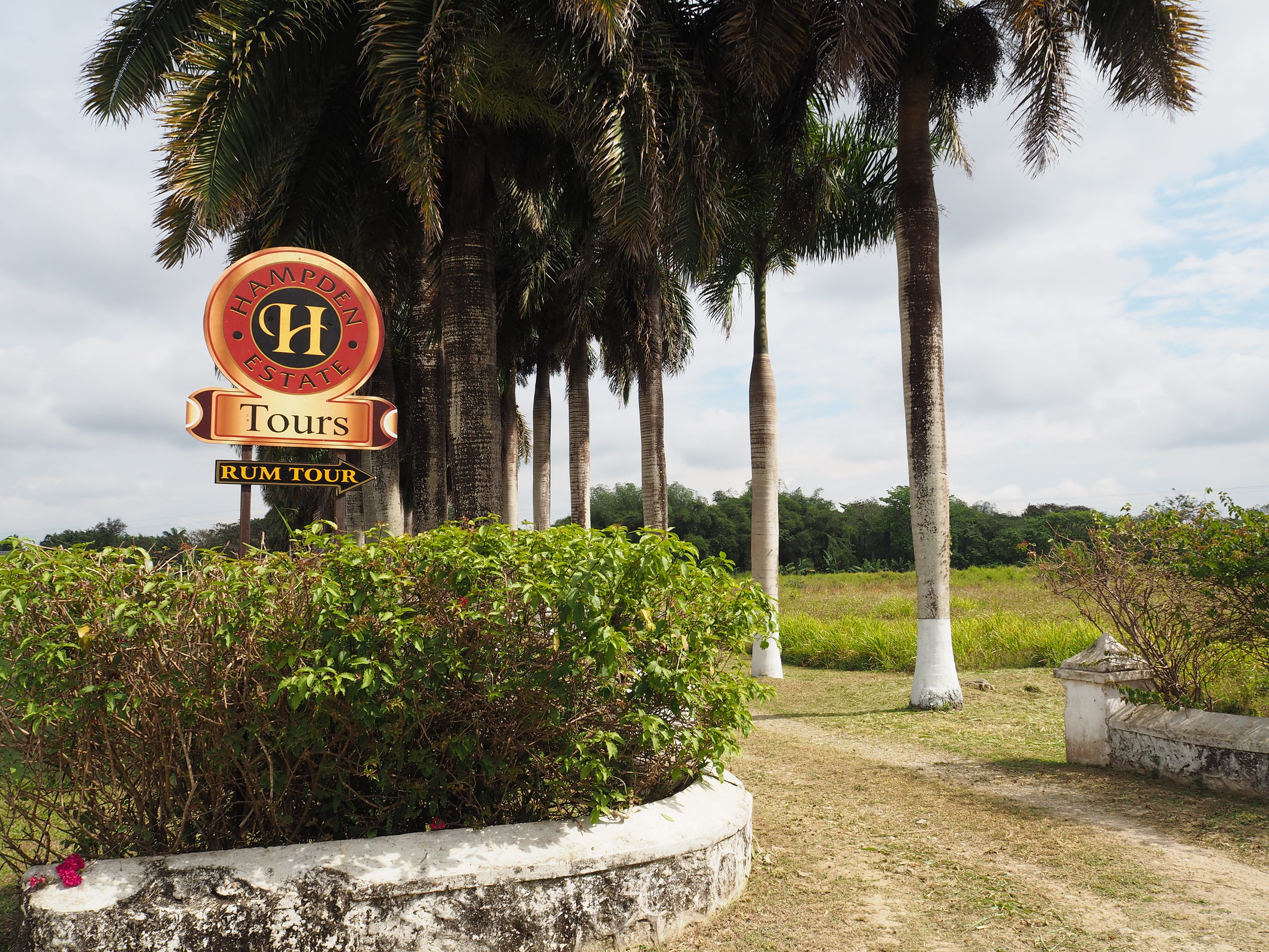 Hampden Estate Rum Tour from Falmouth - Daina Taxi & Tours Jamaica